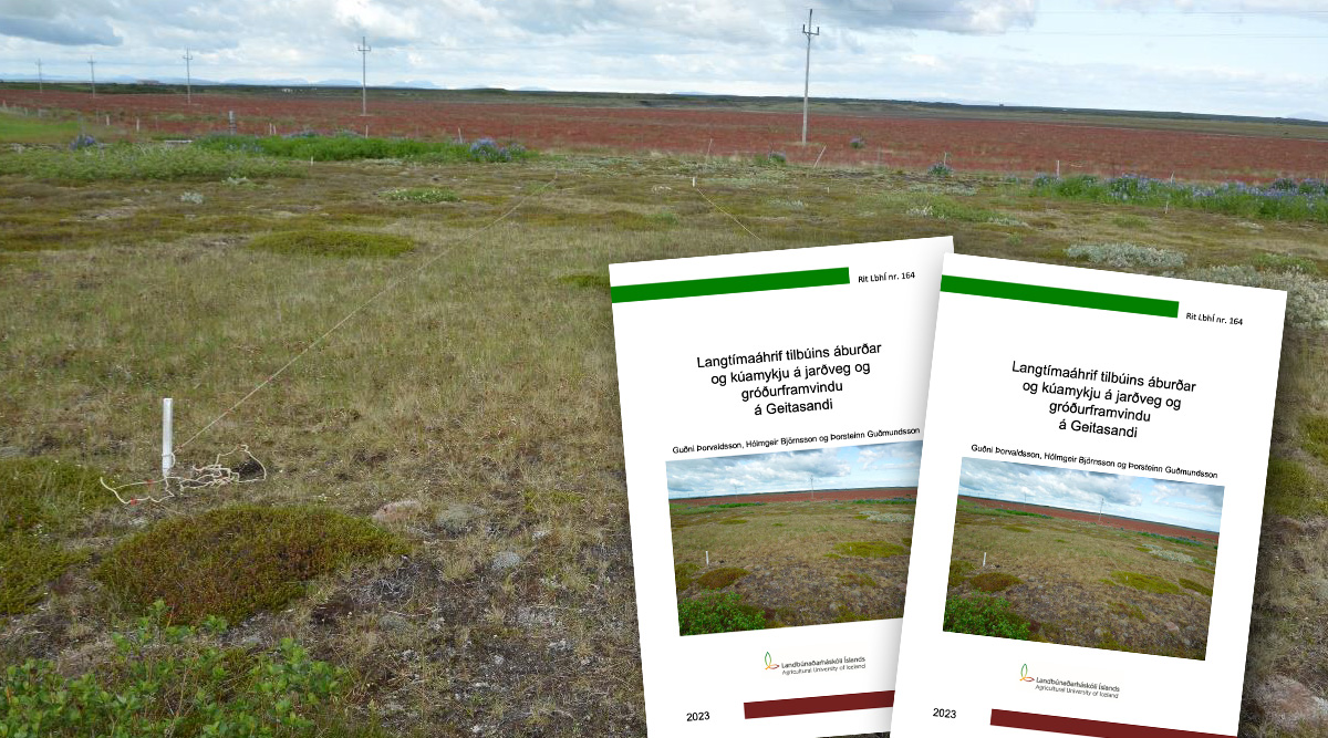 Langtímaáhrif tilbúins áburðar og kúamykju á jarðveg og gróðurframvindu ...